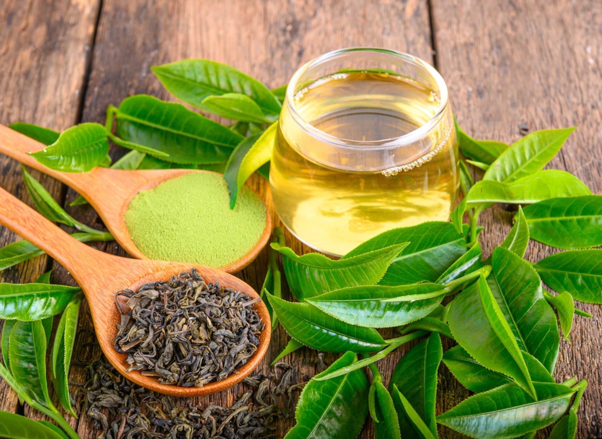 Why Organic Green Tea Loose Leaf is Superior: A Complete Guide – Finest ...