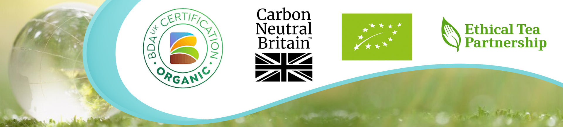 What are 'Tea Flushes'? A Comprehensive Guide to Understanding Differe ...